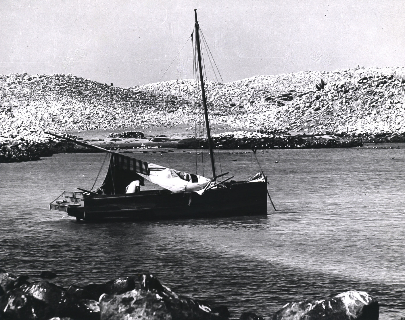 Tales of the Arizona-Sonora Desert Museum - An Oral History Tradition