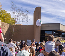 Join the Kids Coati Club Desert Museum